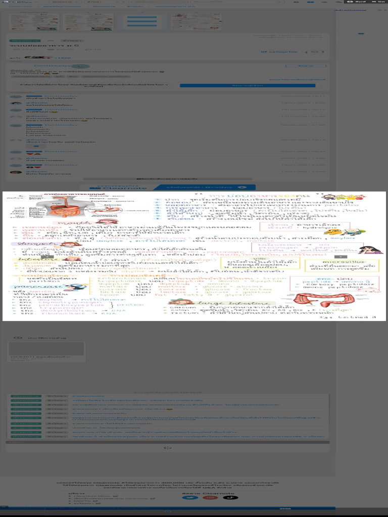 โน้ตของ ระบบย่อยอาหาร ม.5 ชั้น - Clearnote | PDF