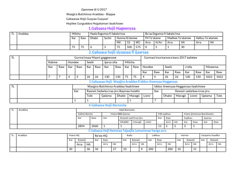 Unkaa Gabaasa Guyyaa Guyyaa Aradda Biqqa | PDF