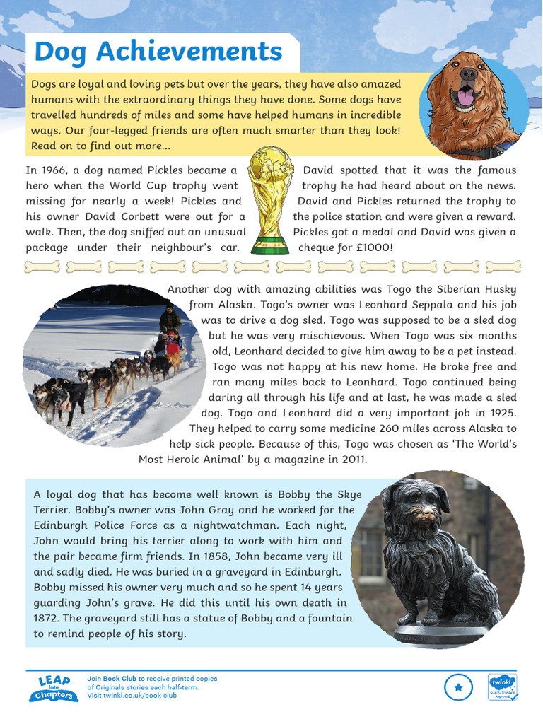 T e 1731512931 Year 3 Differentiated Dog Comprehension Dog Achievements ...