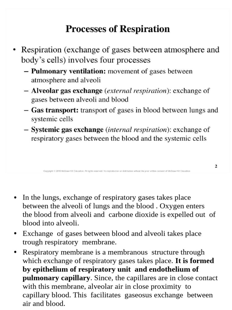 Gas Exchange and Transport in Lungs | PDF