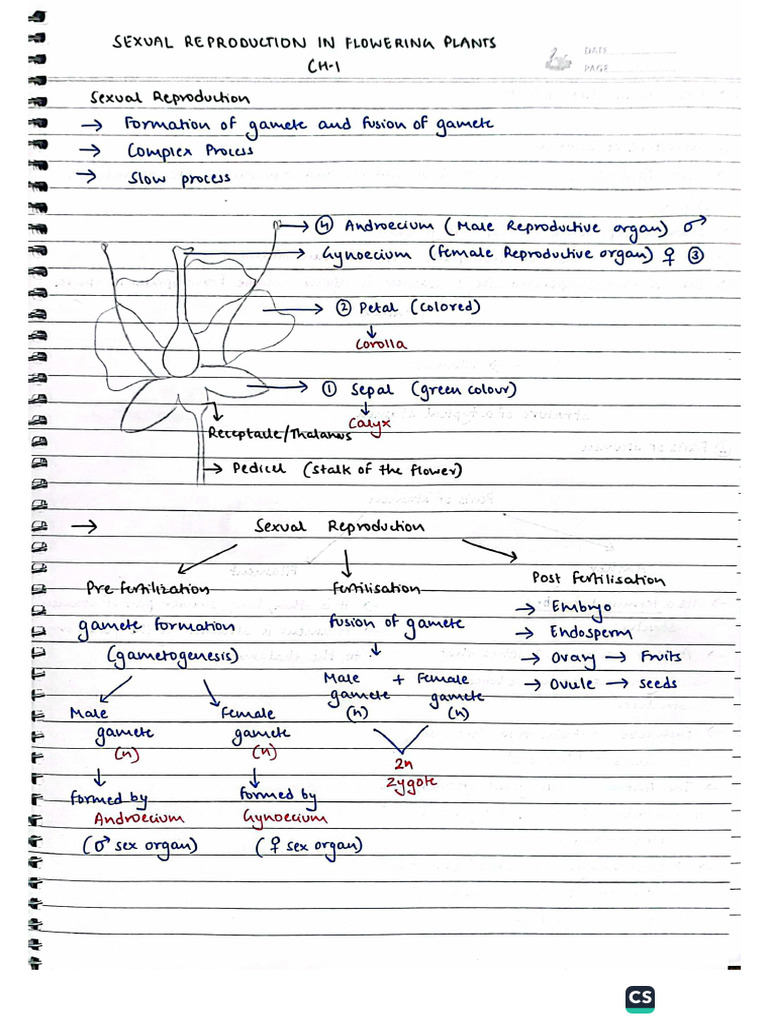 Class 12th Botny Chapter 1 | PDF