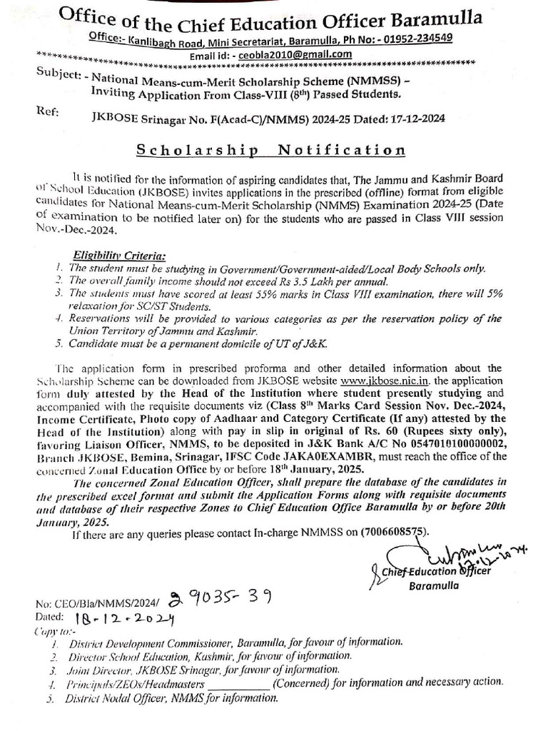 NMMS Application Form 2024-25 J&K | PDF