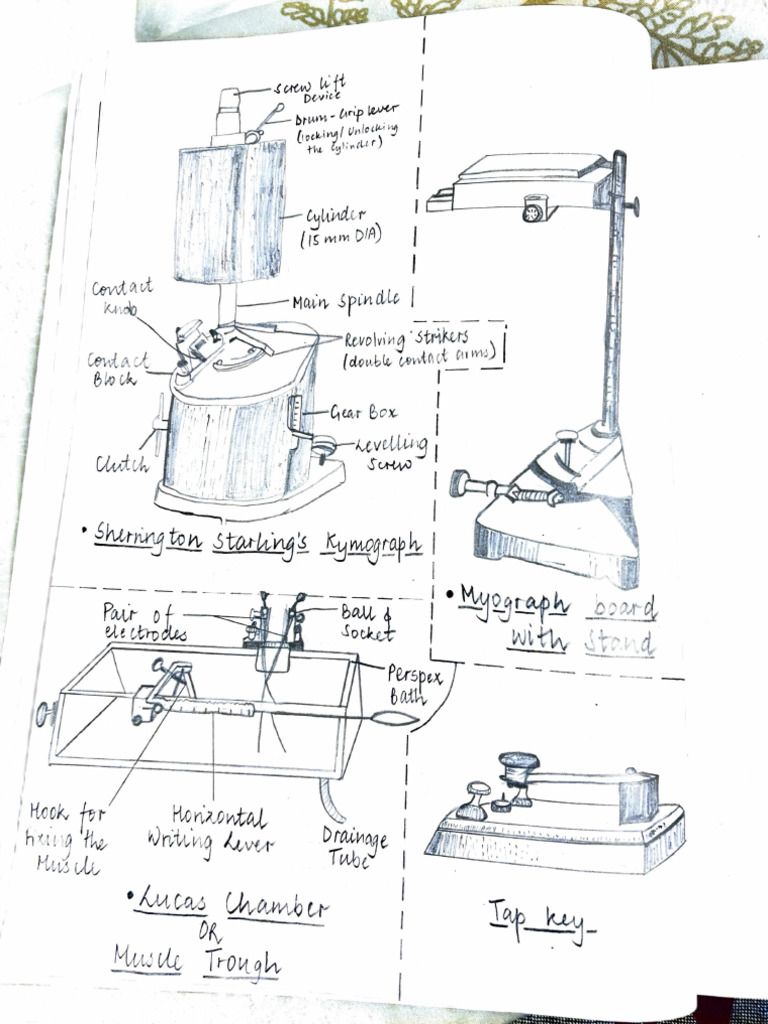 Physio Journal | PDF | Human Anatomy | Histology