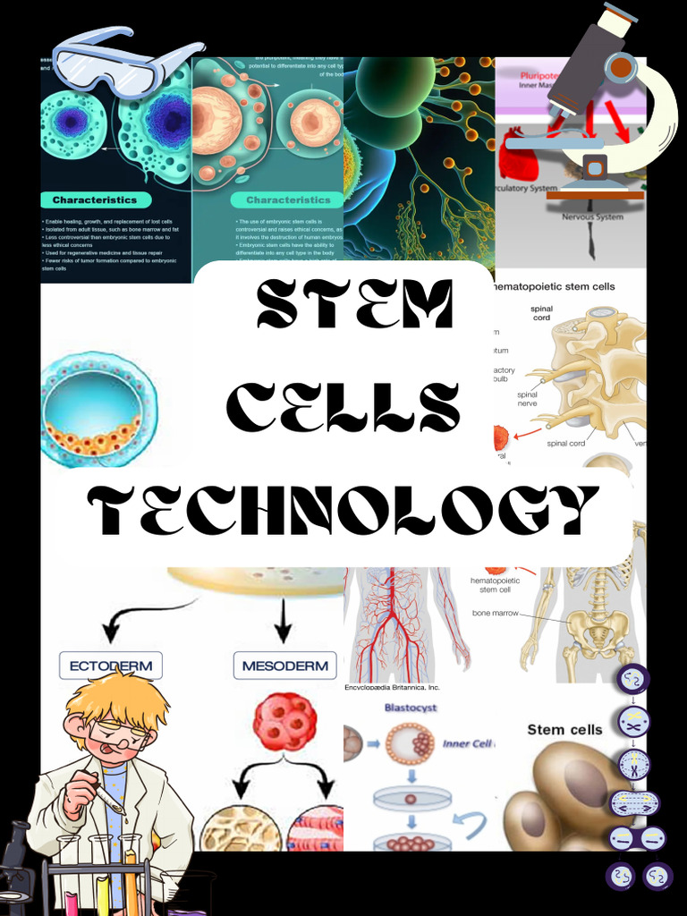 Advances in Stem Cell Technology | PDF