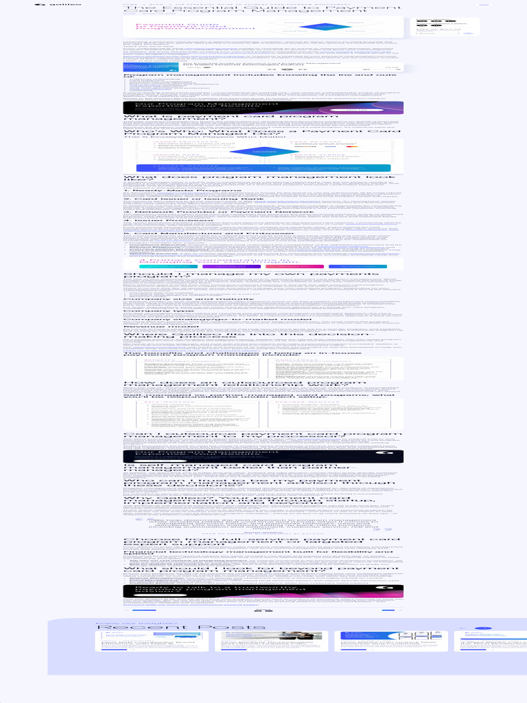 The Essential Guide To Payment Card Program Management | PDF | Business
