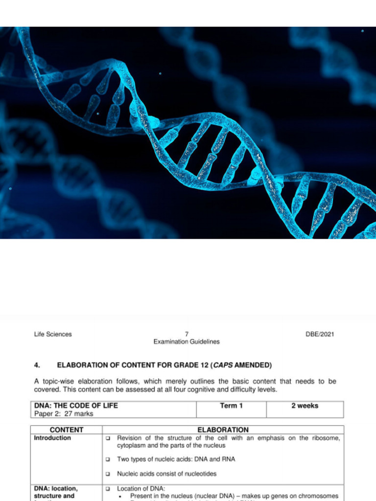Dna Lesson 02 December 2024 | PDF
