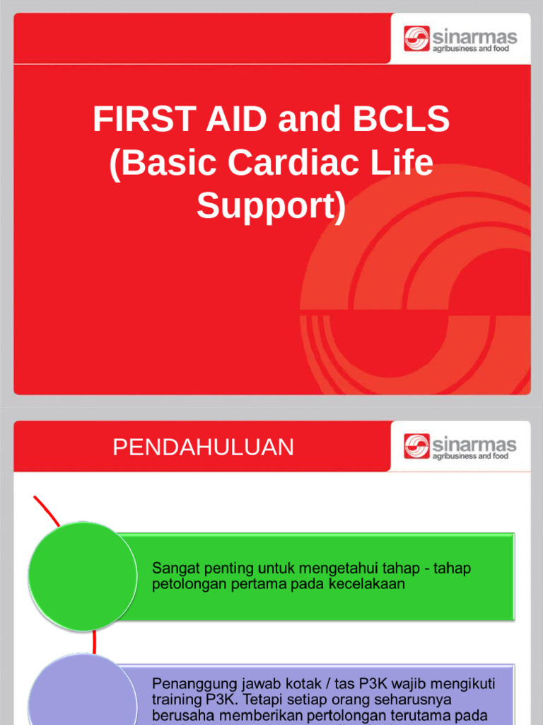 Panduan P3K dan BCLS Lengkap | PDF