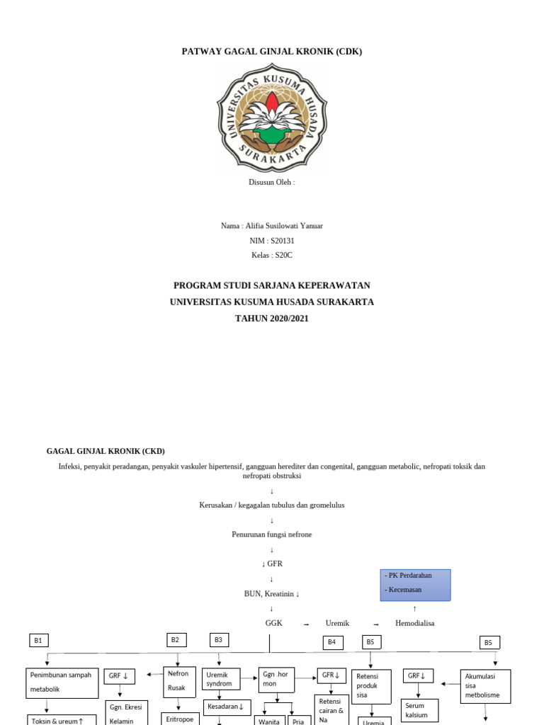 s20131 Alifia Susilowati Yanuar s20c Patway CKD | PDF