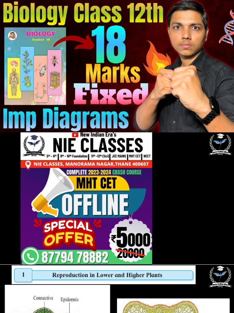 Bio Imp Diagram | PDF