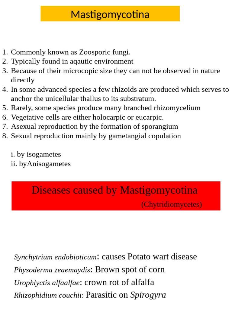 Characteristics of Mastigomycotina Fungi | PDF