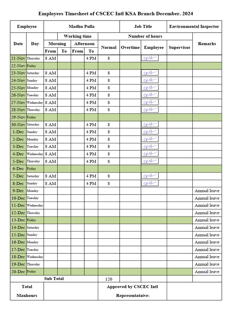 Madhu Pulla_Timesheet Dec-2024 | PDF