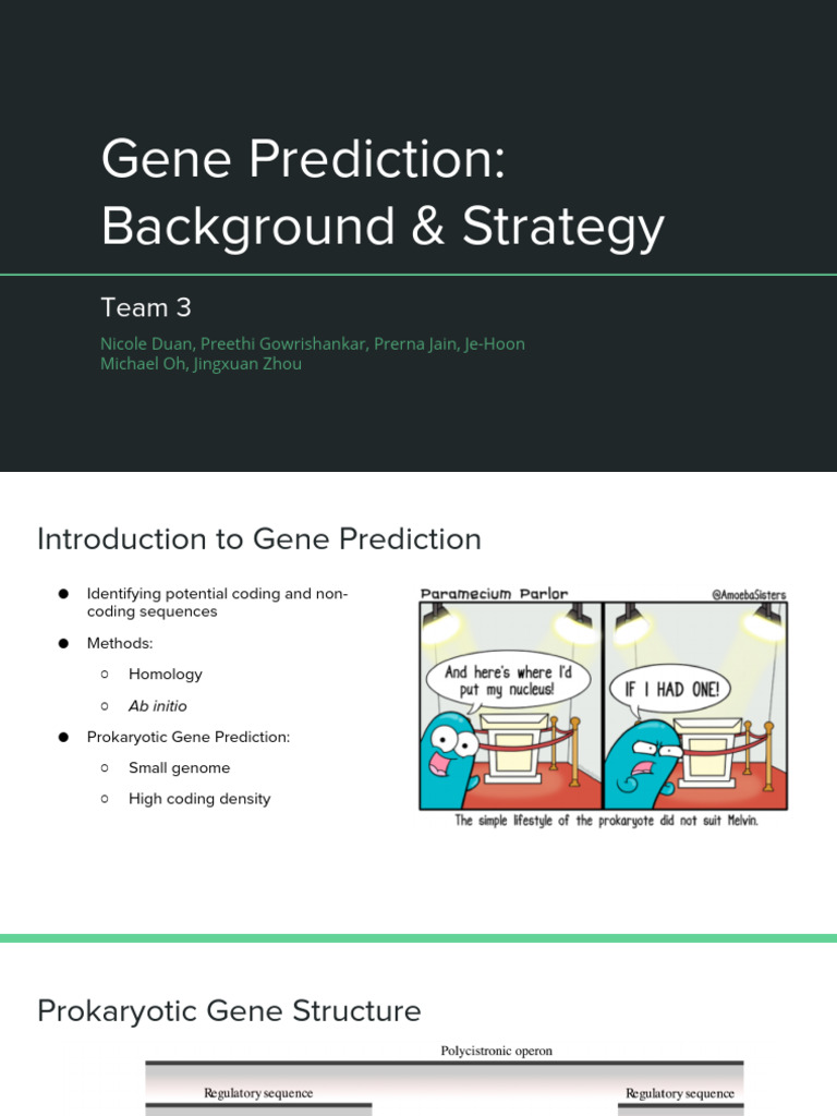 Gene Prediction Methods and Tools | PDF | Gene | Genome