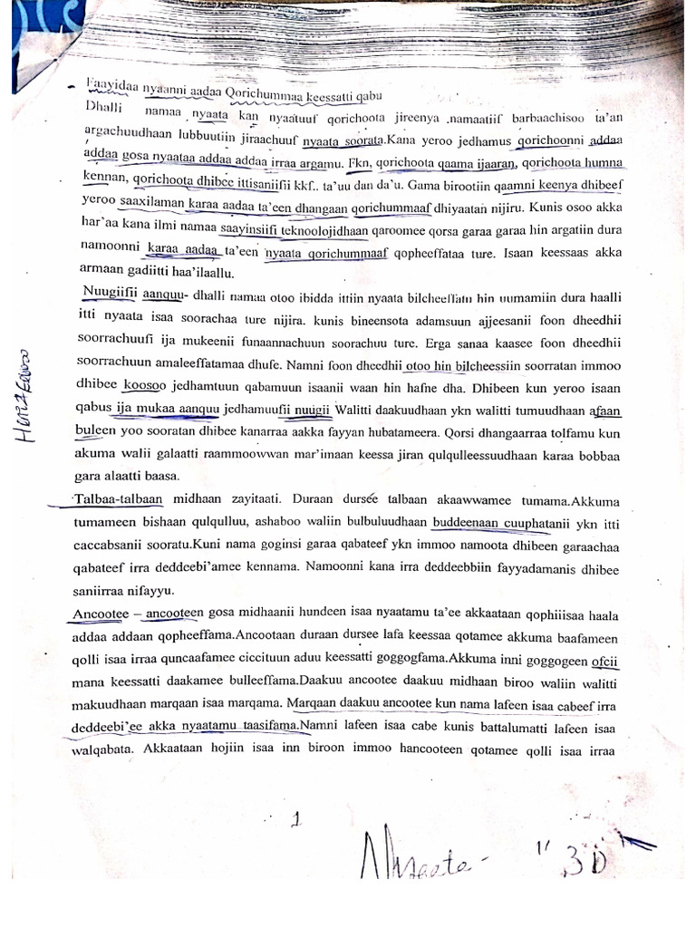 Nyaata Aadaafi Qoricha Aadaa | PDF