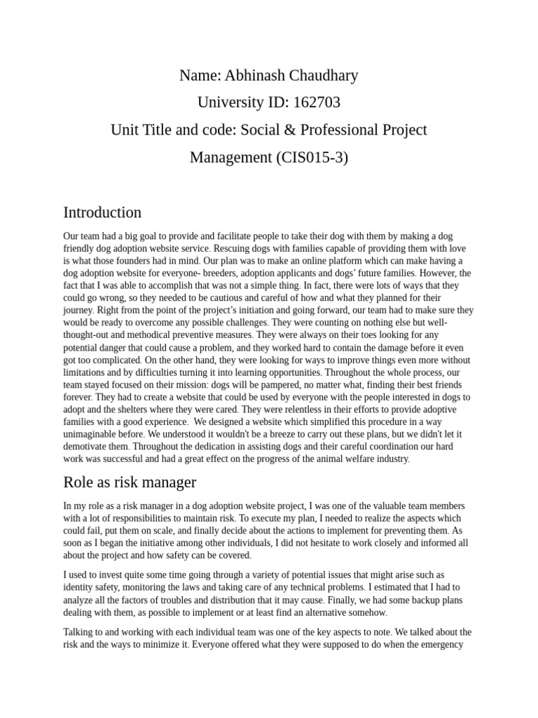 Abhinash Chaudhary | PDF | Risk | Risk Management