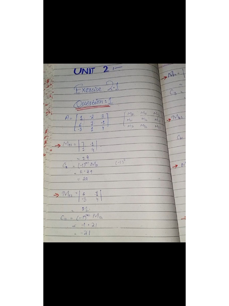 Linear Algebra 12 Edition Next Half Solution | PDF