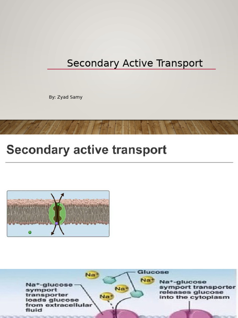 2ndary Active Zyad Samy | PDF