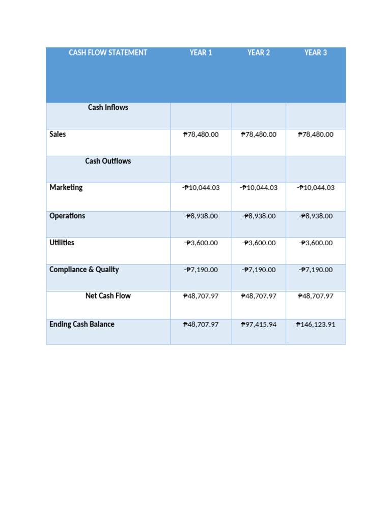 Cash Flow Statement | PDF