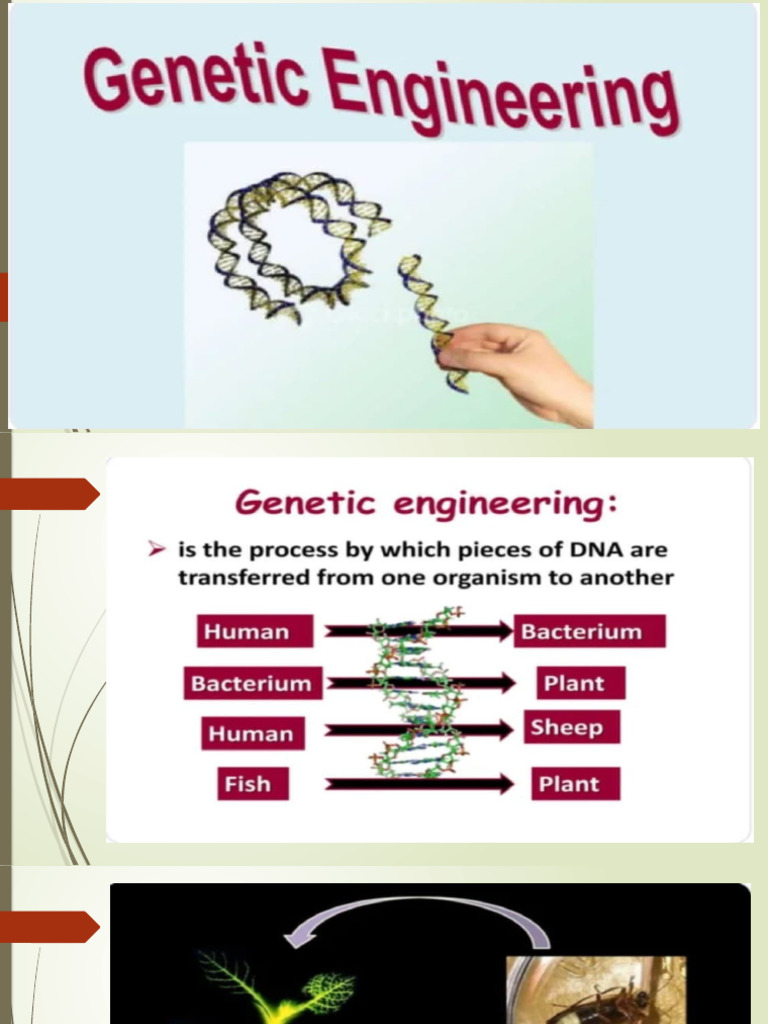 Genetic Engineering | PDF