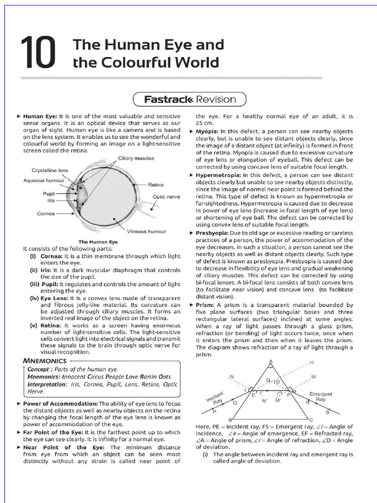 human eye and the colourful world (1) | PDF