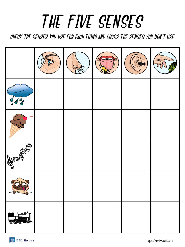 five-senses-worksheet | PDF