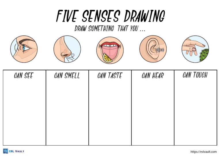 Five Senses Drawing Worksheet | PDF