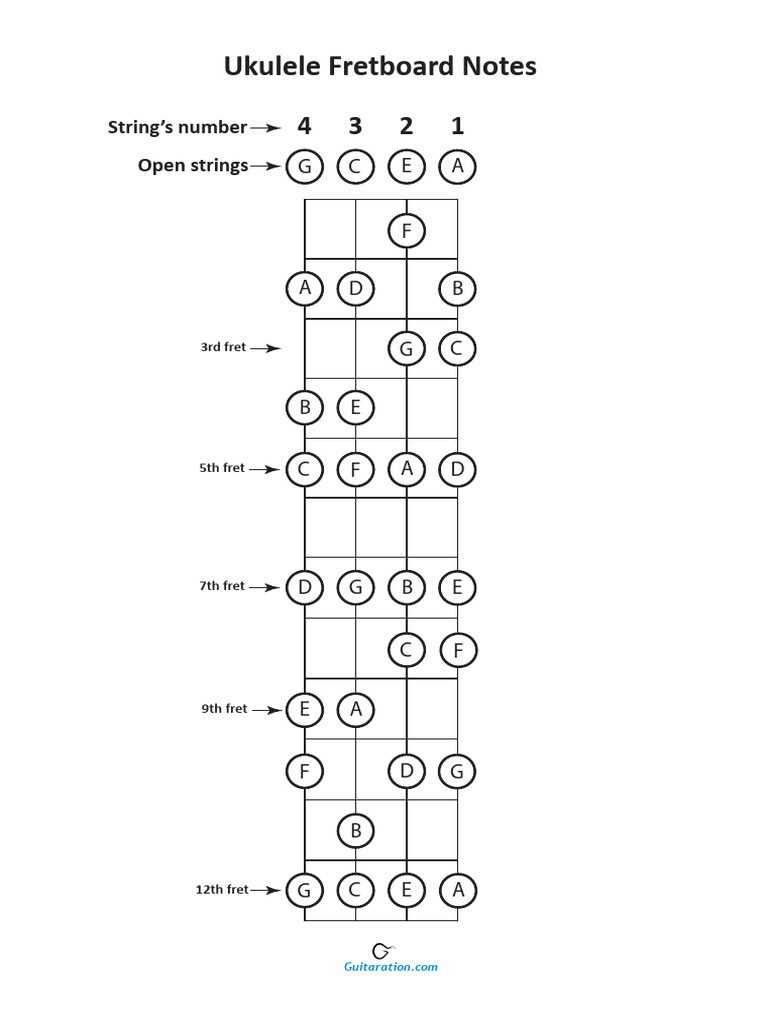 Ukulele Fretboard | PDF