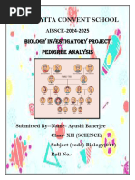 Estefania Fernandez - Lab Activity - Blood Type Pedigree Mystery | PDF ...