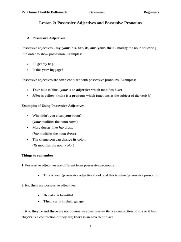 Lesson 2 Possessive Adjectives and Possessive Pronouns | PDF | Pronoun ...