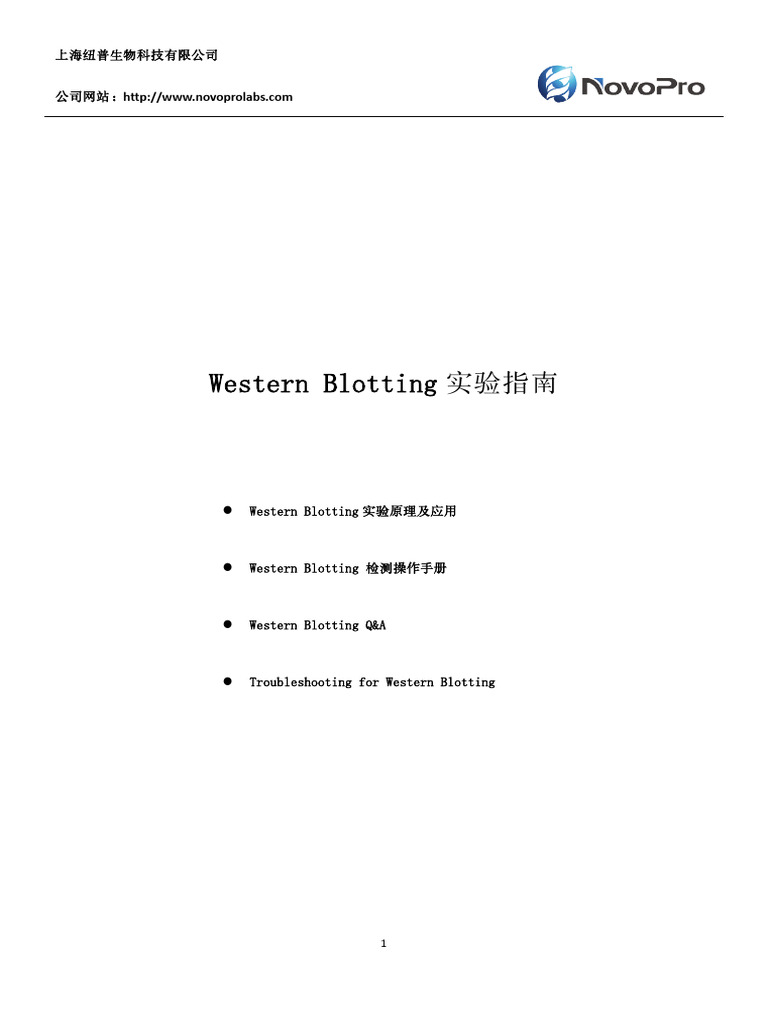 Western Blot | PDF