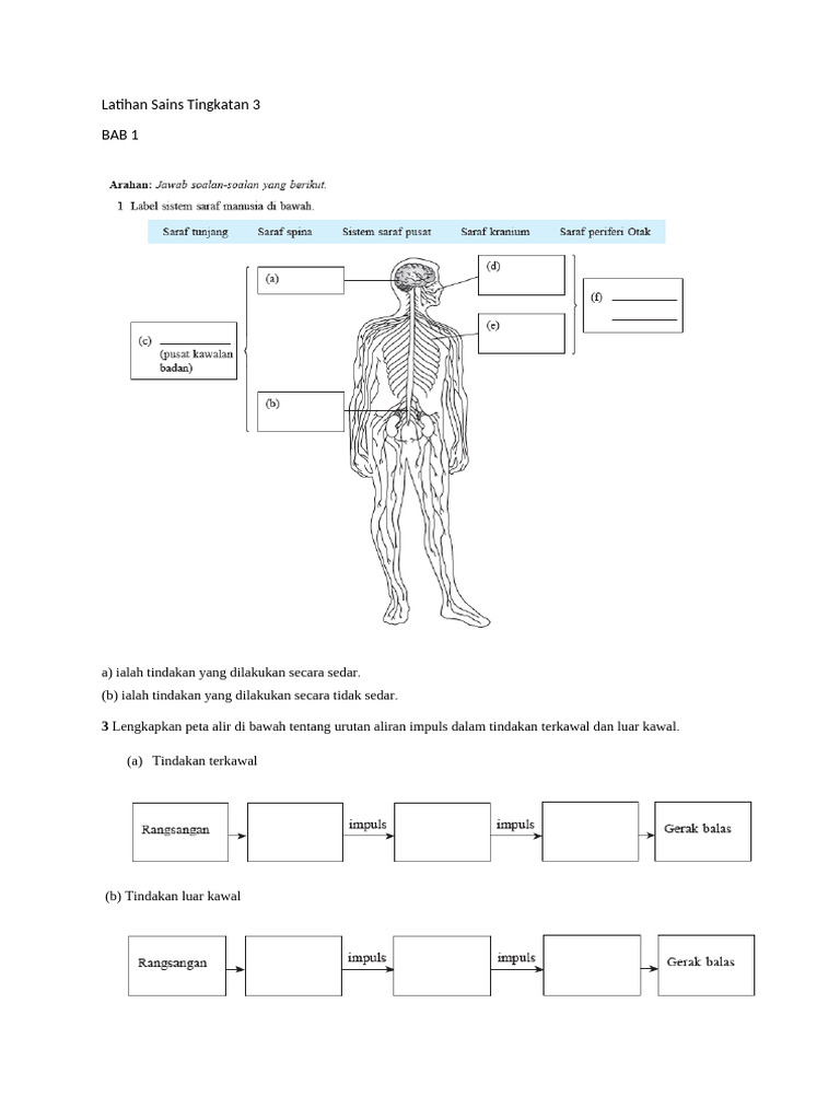 Latihan Sains Tingkatan 3 b1 | PDF