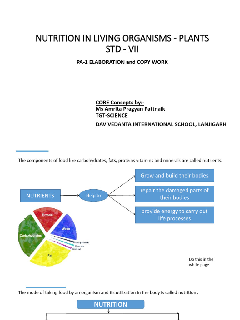 7th Nutrition In Plants Students Pdf Nutrition Diet Nutrition