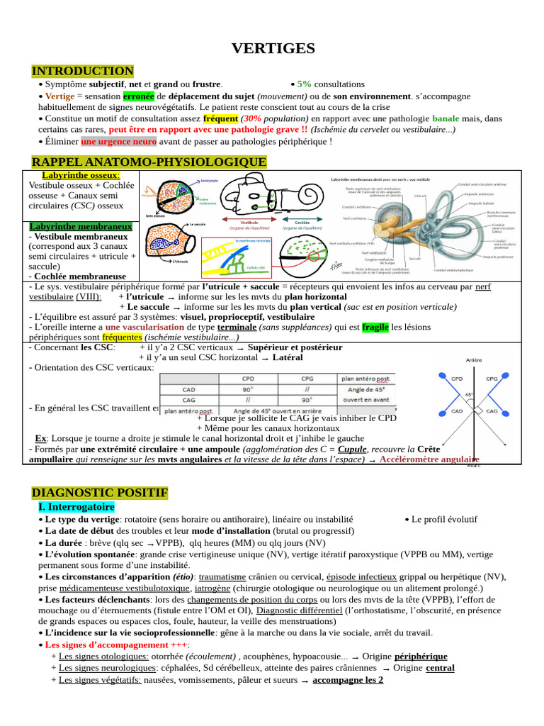 Diagnostic et évaluation des vertiges | PDF | vertige | Système ...