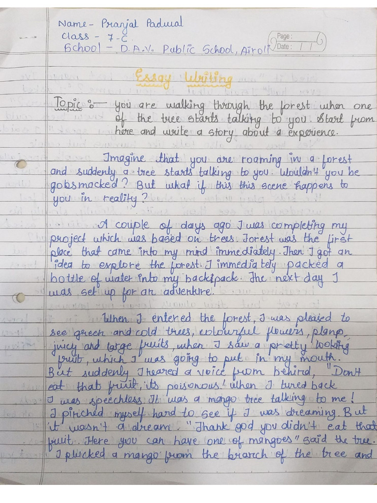 Essay Writing-1 | PDF