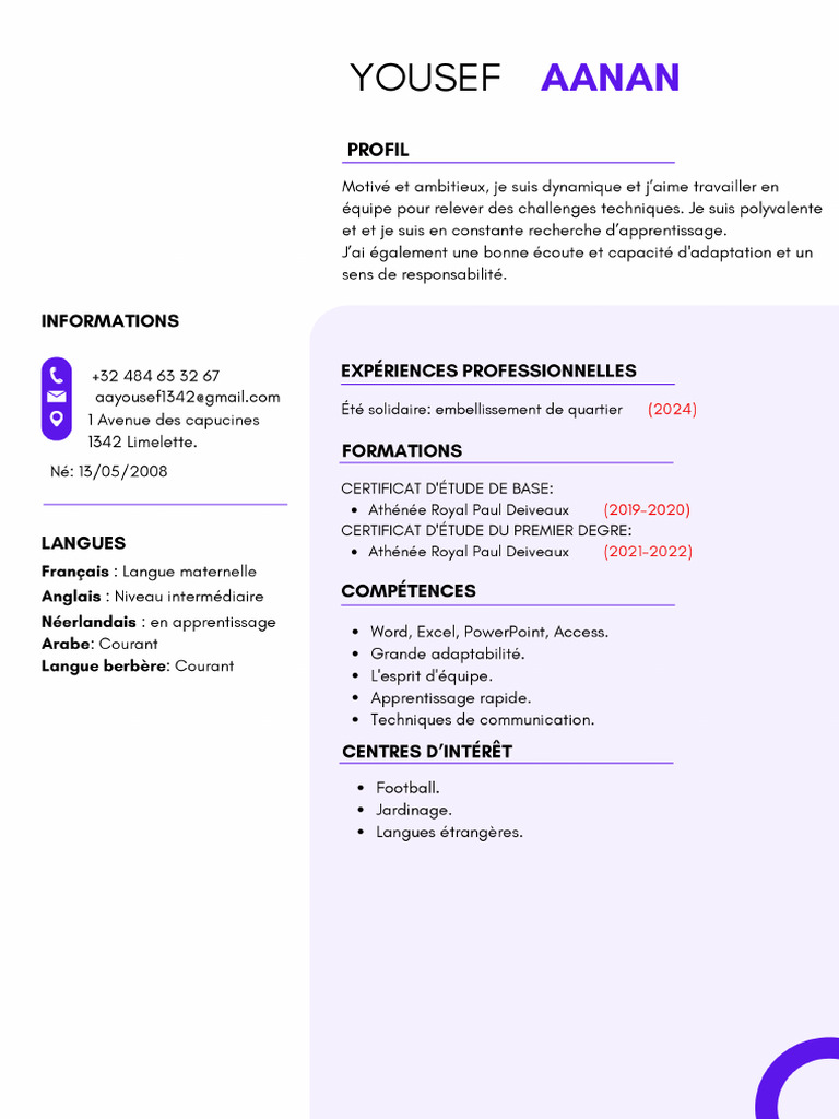 CV Professionnel (Yousef Aanan) | PDF