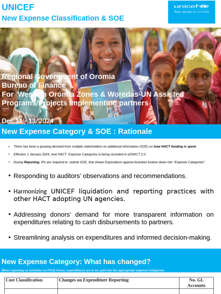 UNICEF New Expense Classification 2024 | PDF | Expense | Economies