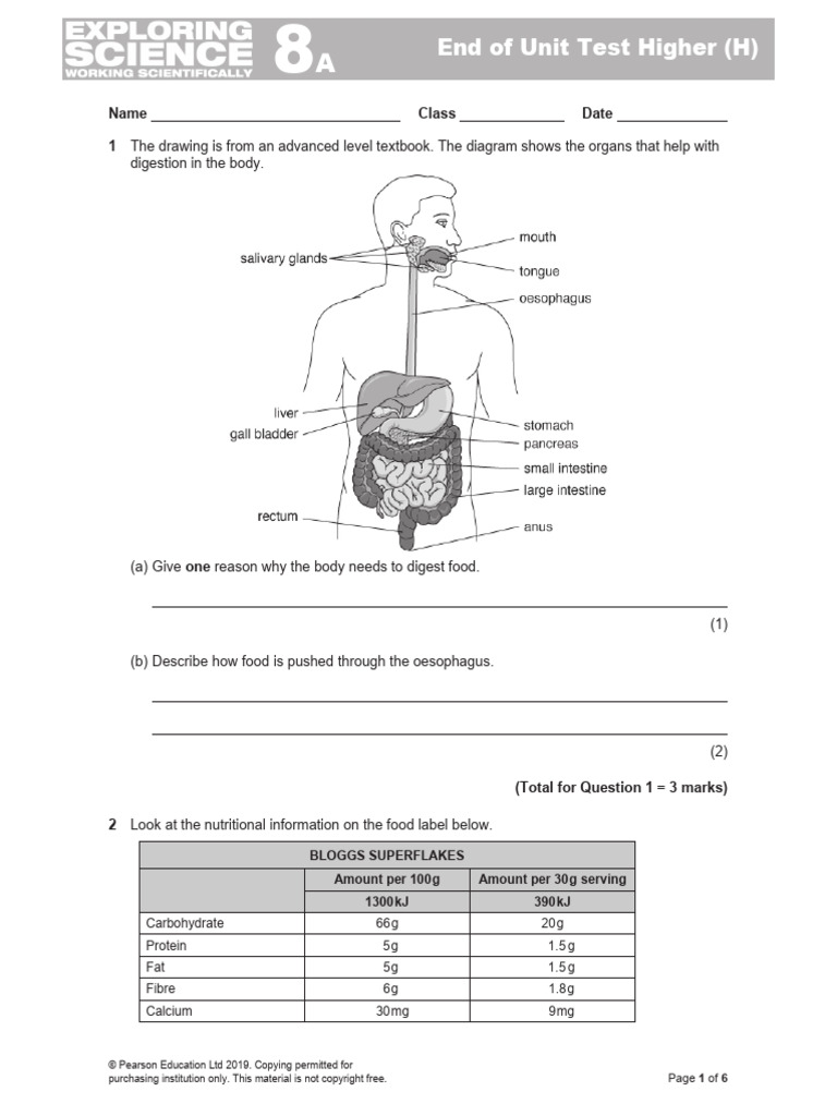 Revision 8A | PDF | Gastrointestinal Tract | Small Intestine