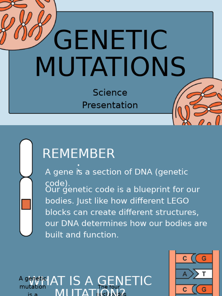 Understanding Genetic Mutations | PDF