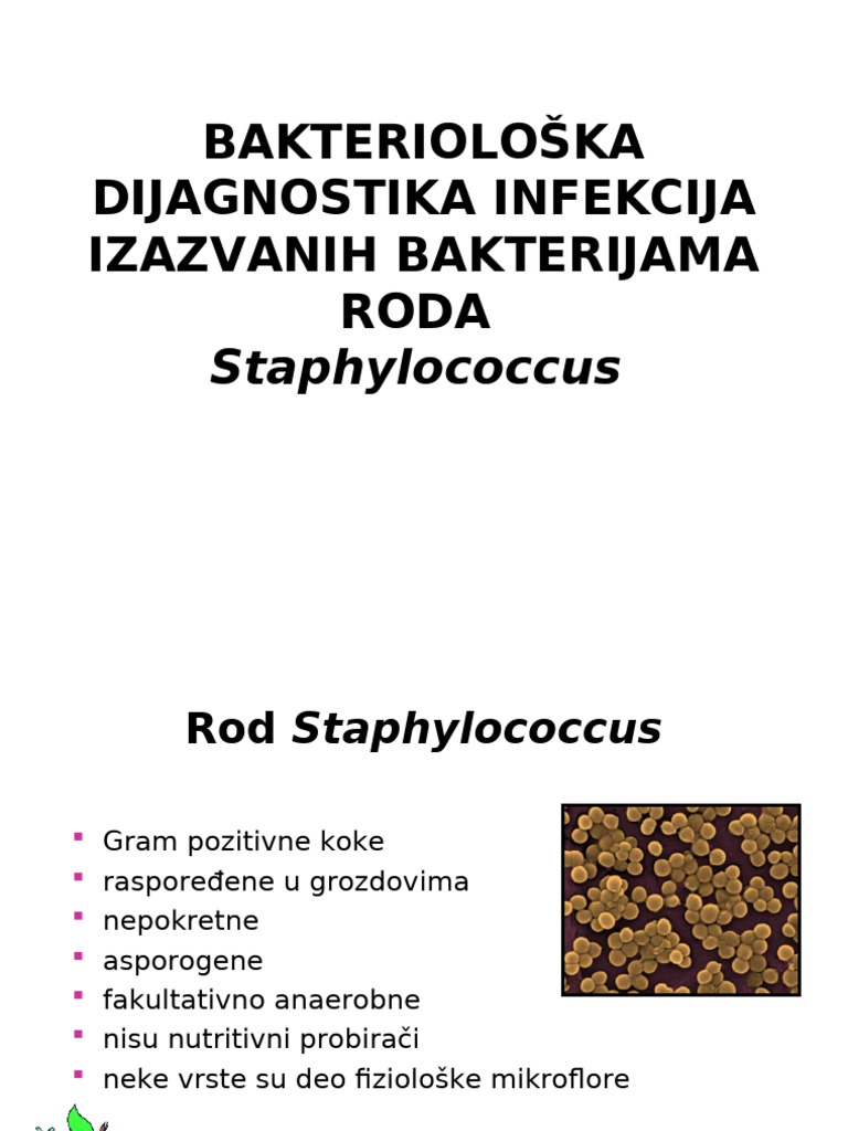7 - Staphylococcus | PDF