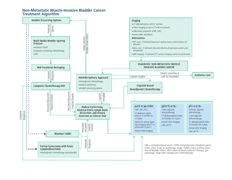 GUI-24-0075 MIBC Algorithm (1) | PDF | Medicine | Diseases And Disorders