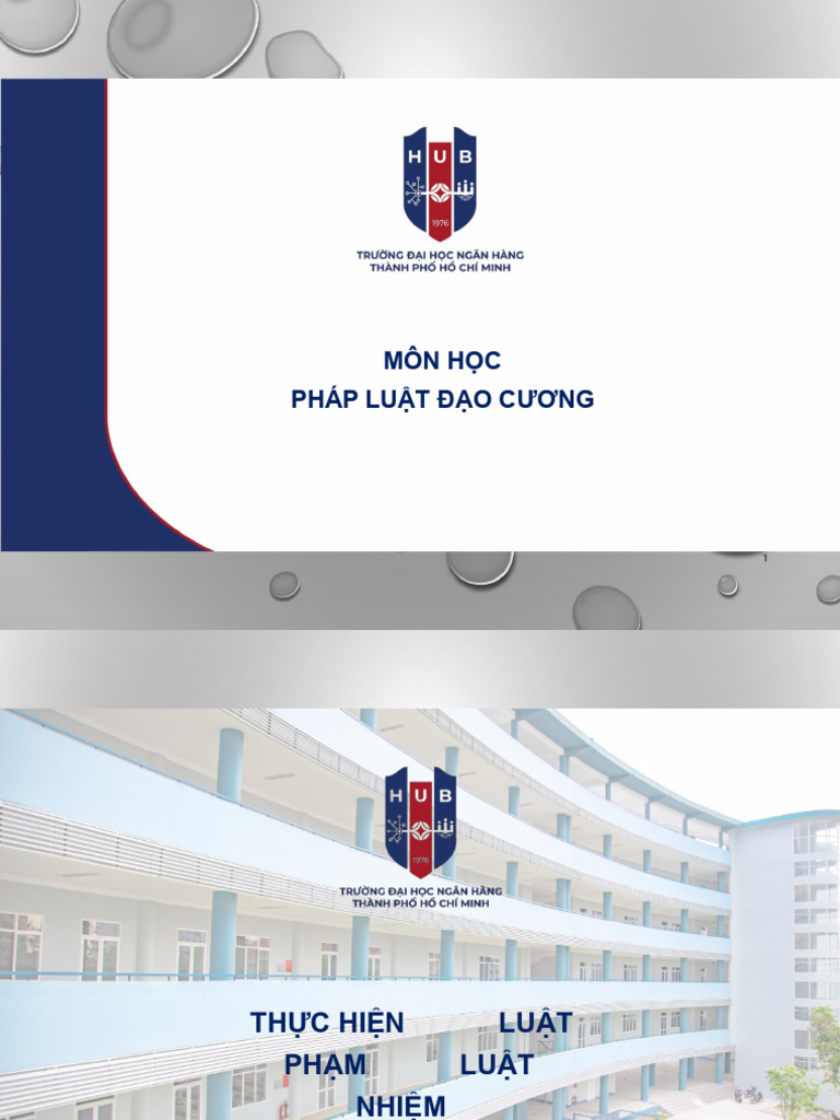 Bài 4. VPPL-THPL-TNPL | PDF