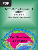 Temporary Slide Preparation Techniques | PDF | Staining | Microscopy