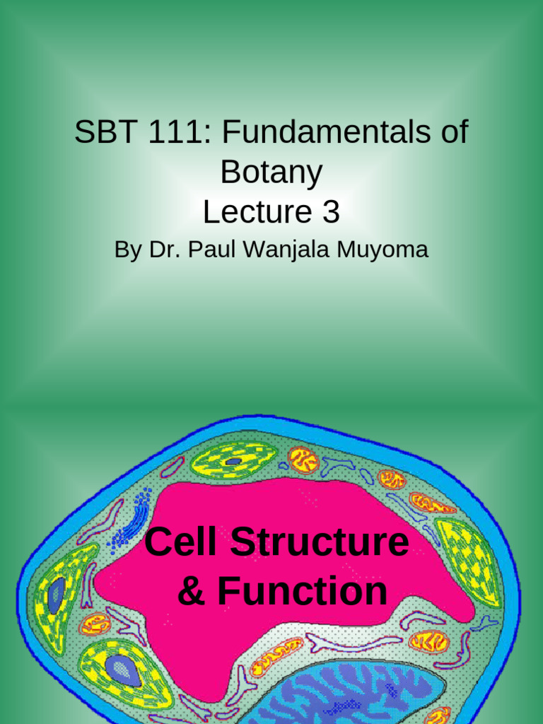Lecture 3 Cell - Structure - Function and Slide Preparation | PDF | Cell (Biology) | Staining
