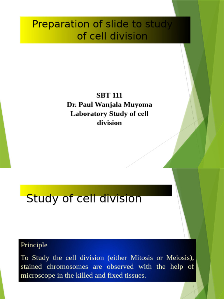 Lecture 4 B Study of Cell Division | PDF | Meiosis | Cell Biology