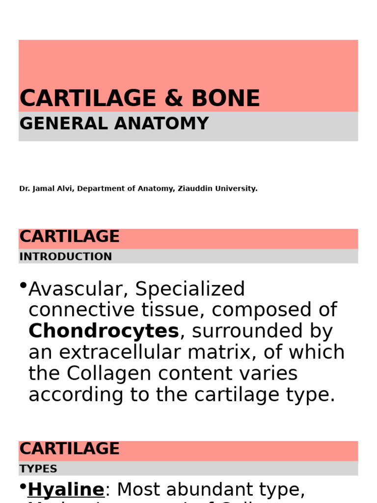 Cartilage and Bone - Dr. Jamal Alvi-1 | PDF