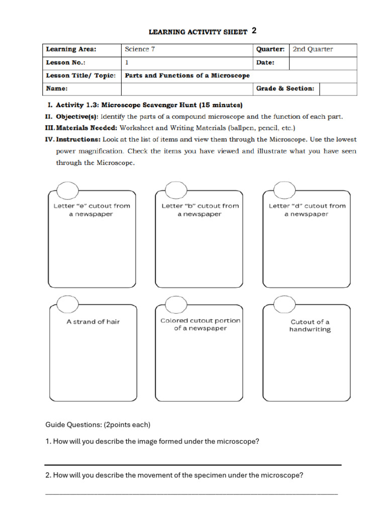 Q2 Activity 2 Viewng Microscope | PDF
