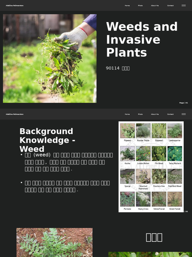 Weeds and Invasive Plants | PDF | Weed | Invasive Species