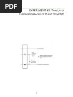 TLC of Plant Pigments Experiment | PDF | Thin Layer Chromatography ...