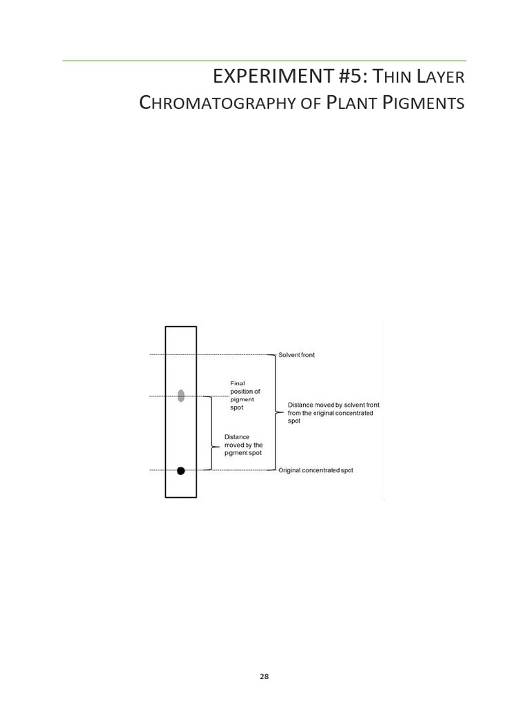 Chromatography for Plant Pigments | PDF | Thin Layer Chromatography ...
