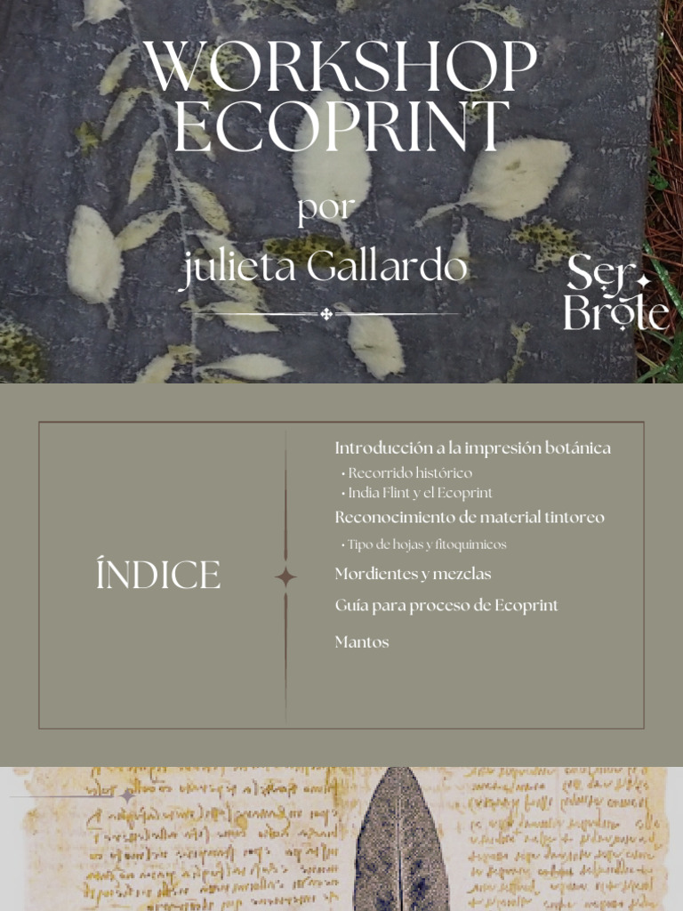 Workshop Ecoprint - 20241015 - 122142 - 0000 | PDF | Textiles | Pigmento