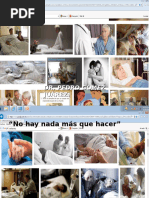 Codigo Lila Final de Vida | PDF | Dolor | Muerte